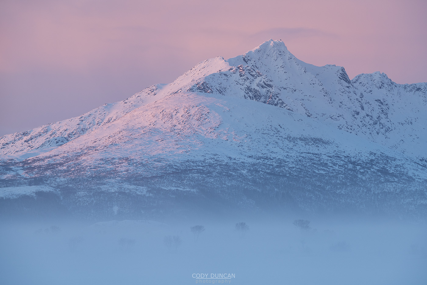 Winter Fog | Friday Photo #427 | Lofoten Islands Norway | 68 North